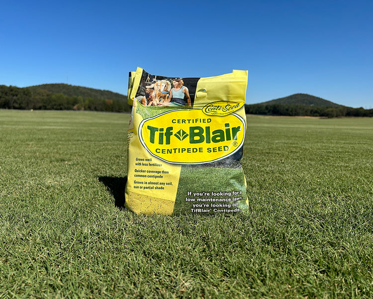 Tifblair Centipede Grass Seed - Aiken, SC - Aiken County Farm Supply